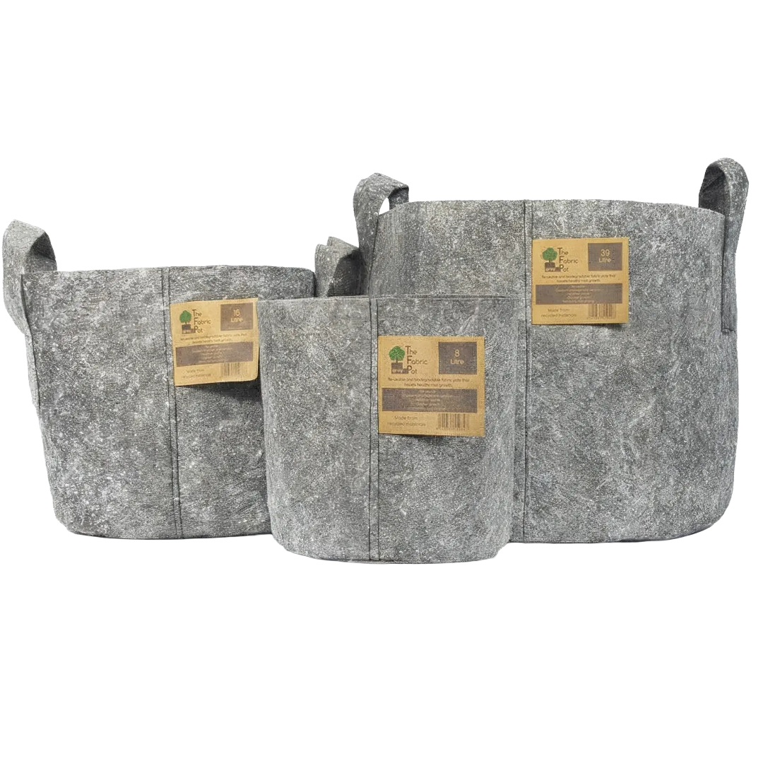 Why Growers Love Fabric Pots: A Closer Look At Our Grey Round Fabric P