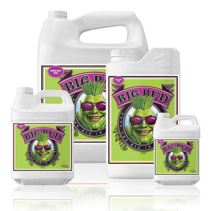Advanced Big Bud Hydroponic Nutrient Booster Ideal for Blooming Stage